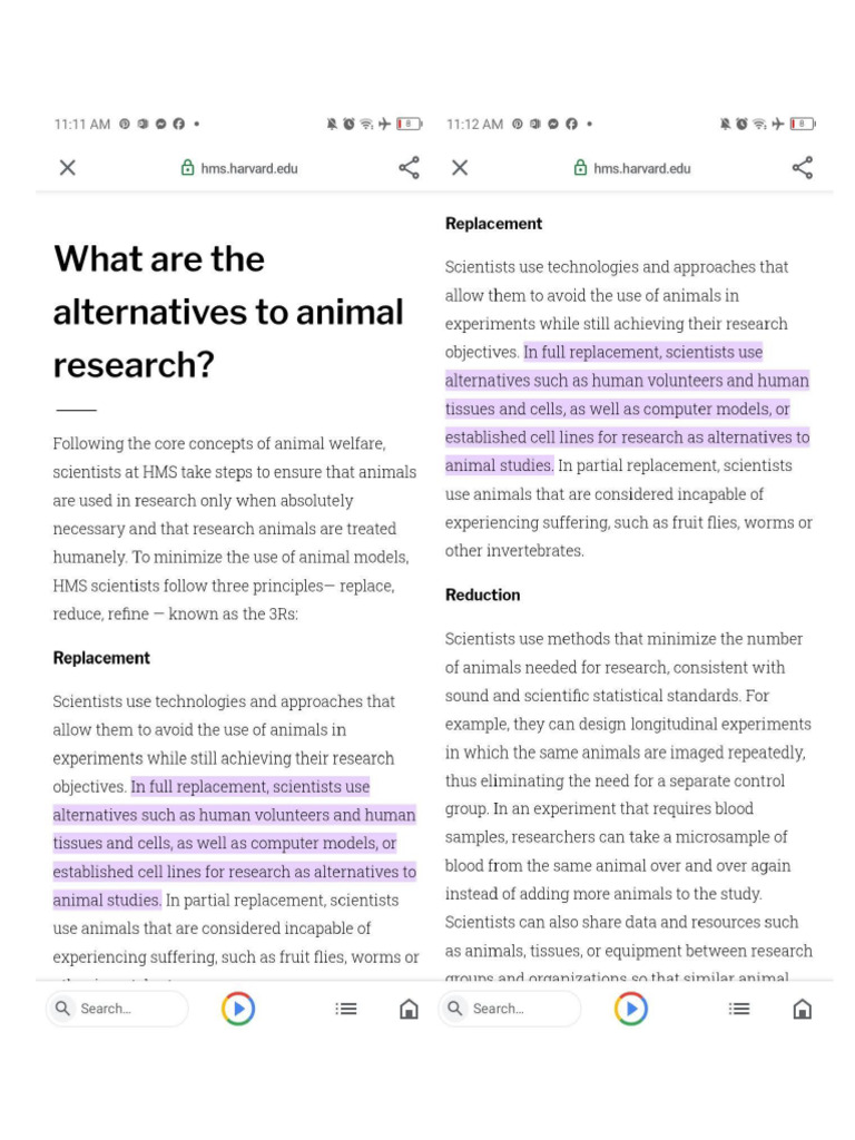 Evidence | PDF