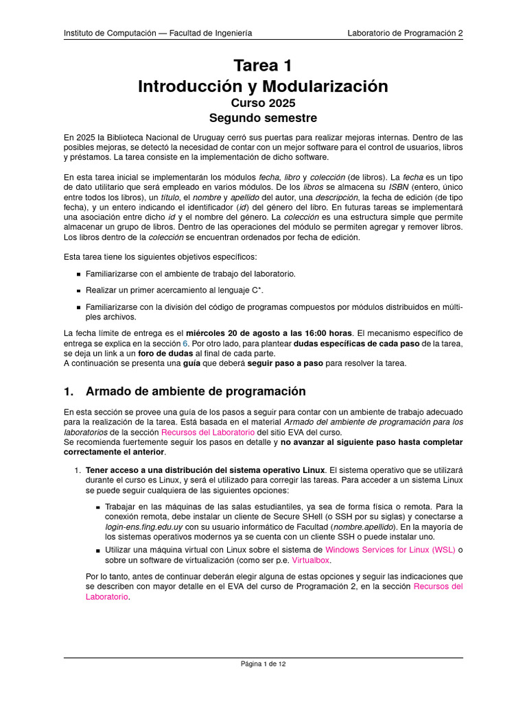 Prog2_tarea_1_2025_2 | PDF | Compilador | C
