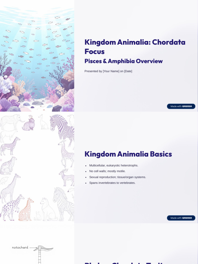 Kingdom Animalia Chordata Focus | PDF