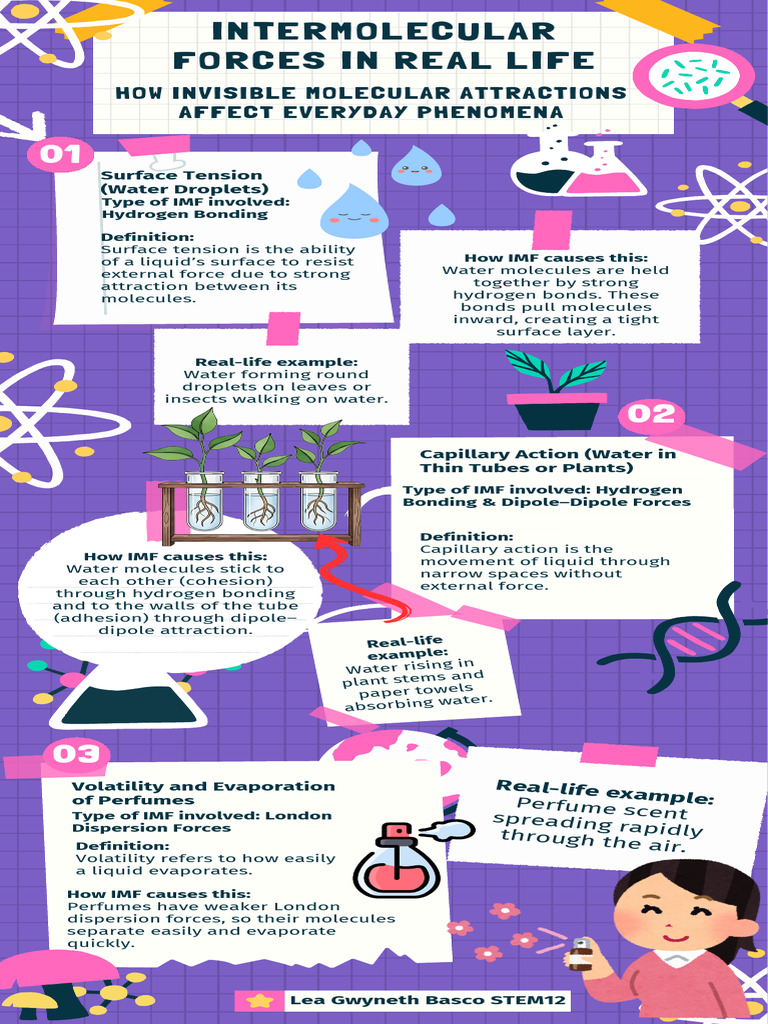 Purple Doodle Creative Scientific Method Infographic_20260120_124612 ...
