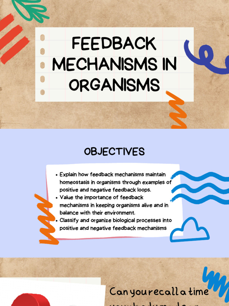 Feedback Mechanism (1) | PDF | Homeostasis | Negative Feedback