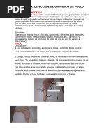 Disección del Muslo de Pollo: Anatomía y Función | PDF | Articulación ...