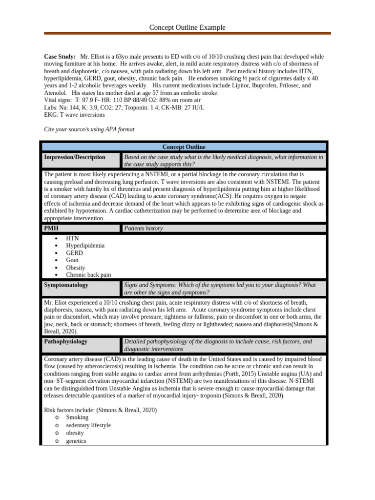 Concept Outline Example | PDF | Myocardial Infarction | Cardiovascular ...