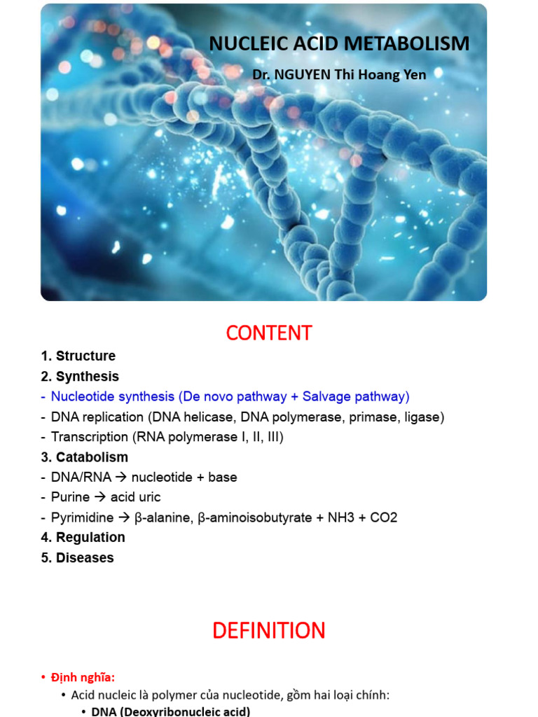 Chương 6 - Nucleic Acid Metabolism | PDF
