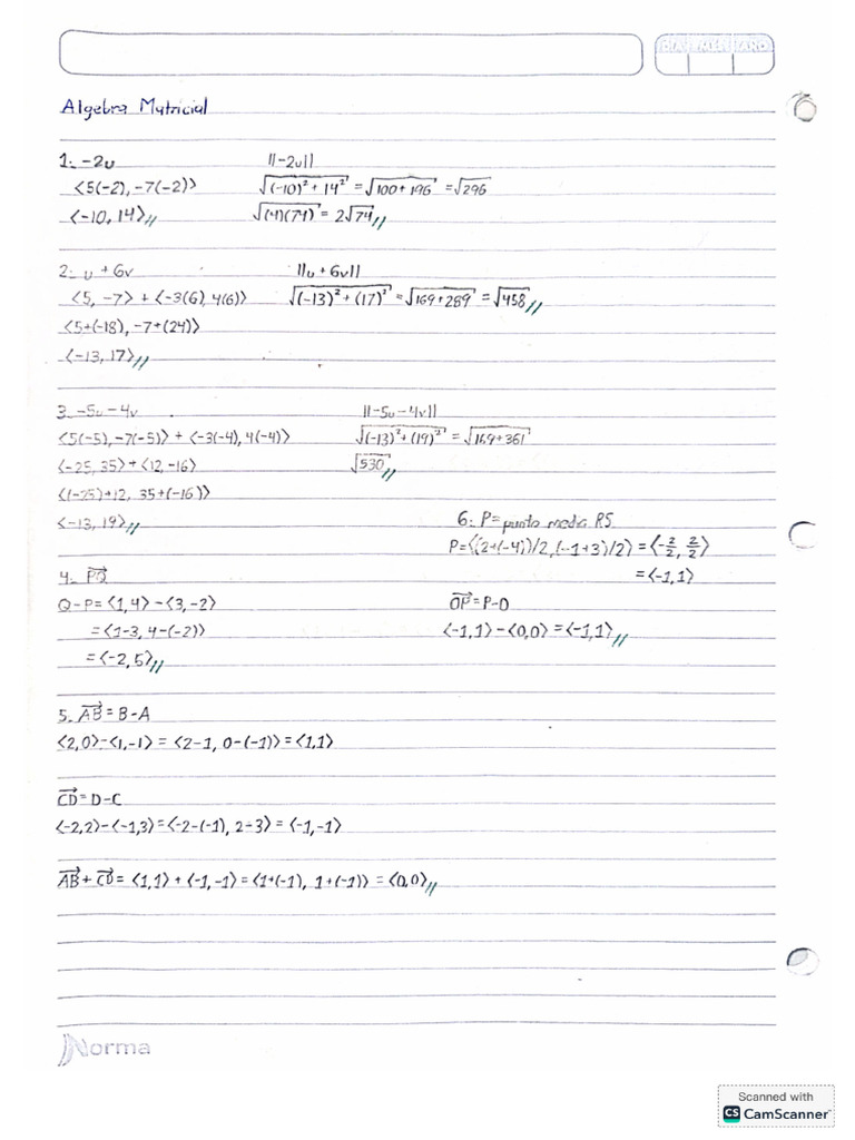 2115196_Tarea 1 Álgebra Matricial | PDF