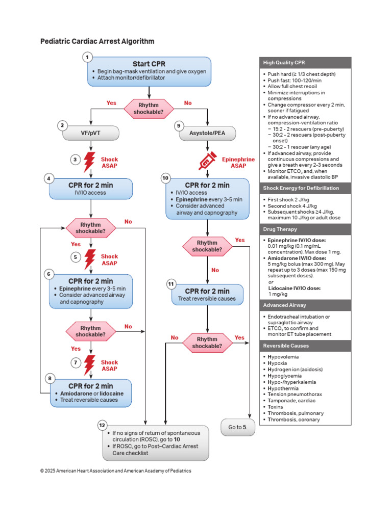 1. Pediatric ALS - Cardiac Arrest Algorithm (1) | PDF | Cardiac Arrest ...