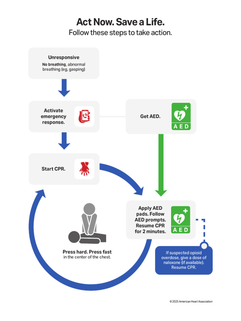 2. Adult BLS Algorithm for Lay Rescuers | PDF