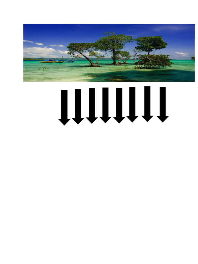 Andaman Main Page | PDF