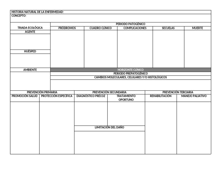 Formato Hne | PDF