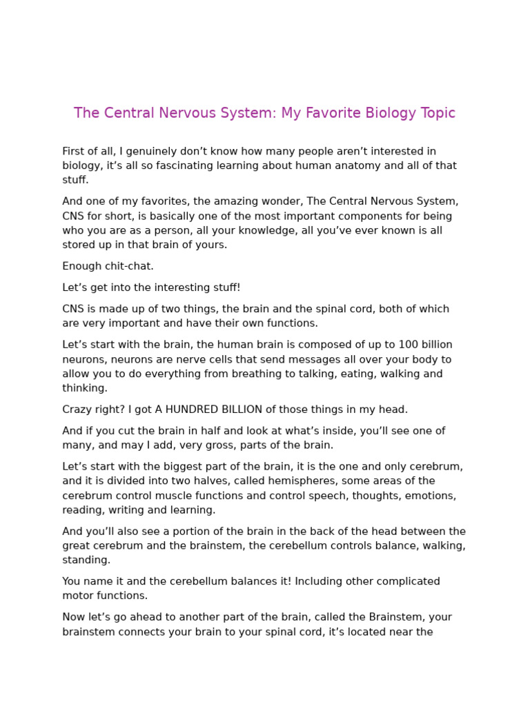 The Central Nervous System - English Essay | PDF | Brainstem | Central ...