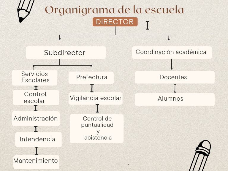 Beige Nude Business Organization Chart_20251116_202047_0000 | PDF