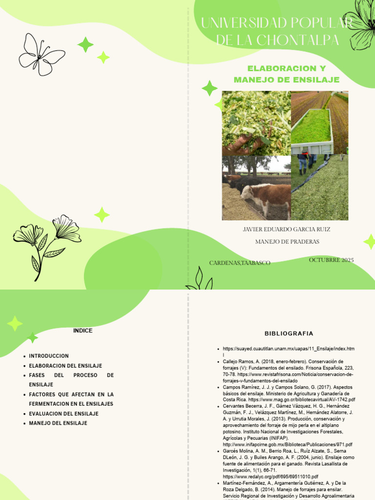 Folleto Tríptico Medio Ambiente Naturaleza Moderno Verde y Blanco | PDF ...