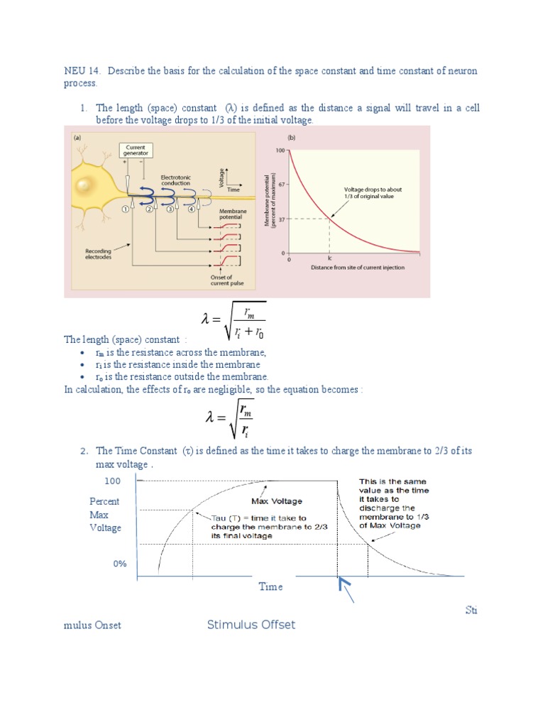 Neuron Time Constant Calculation Explained | PDF