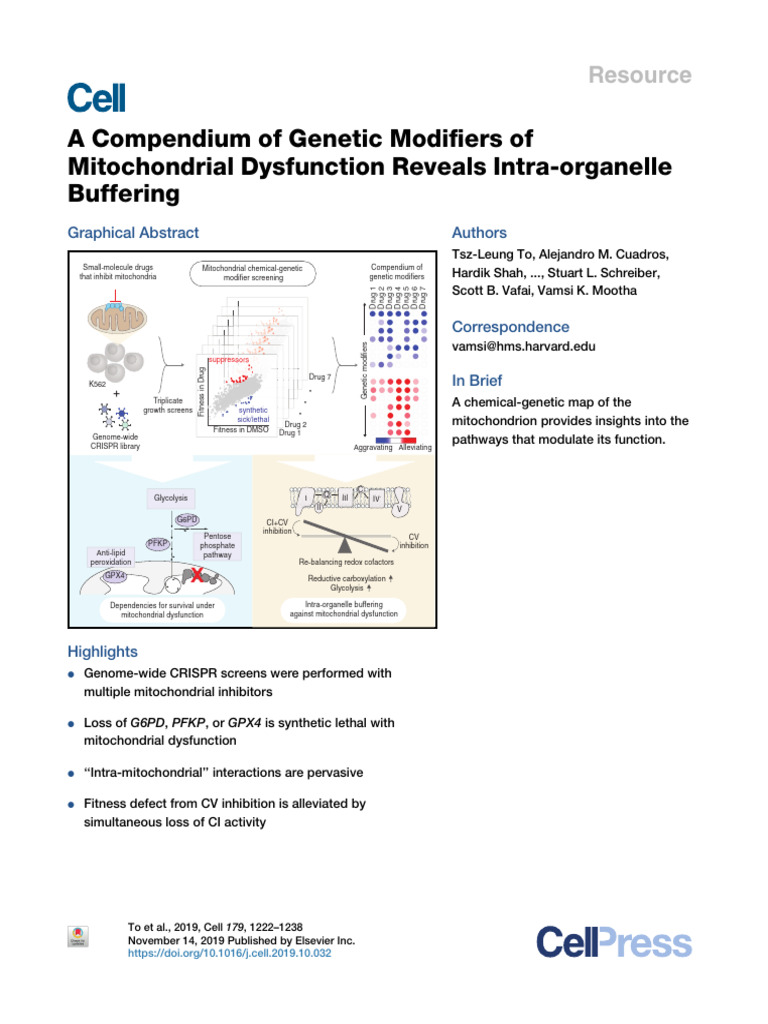 A Compendium of Genetic Modifiers of Mitochondrial | PDF ...