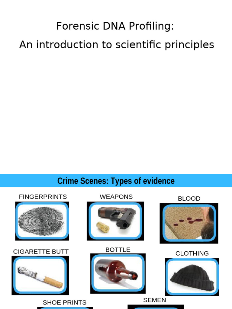 130612 Dna | PDF | Blood Type | Microsatellite