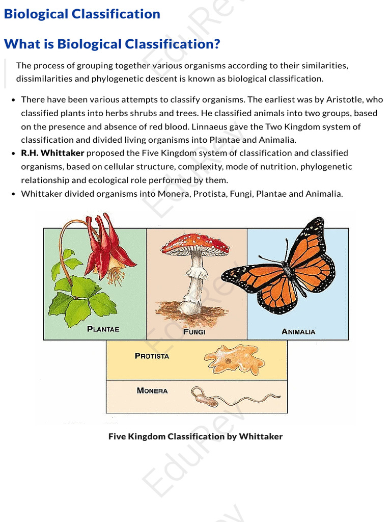 EduRev - Biological Classification | PDF | Fungus | Protozoa