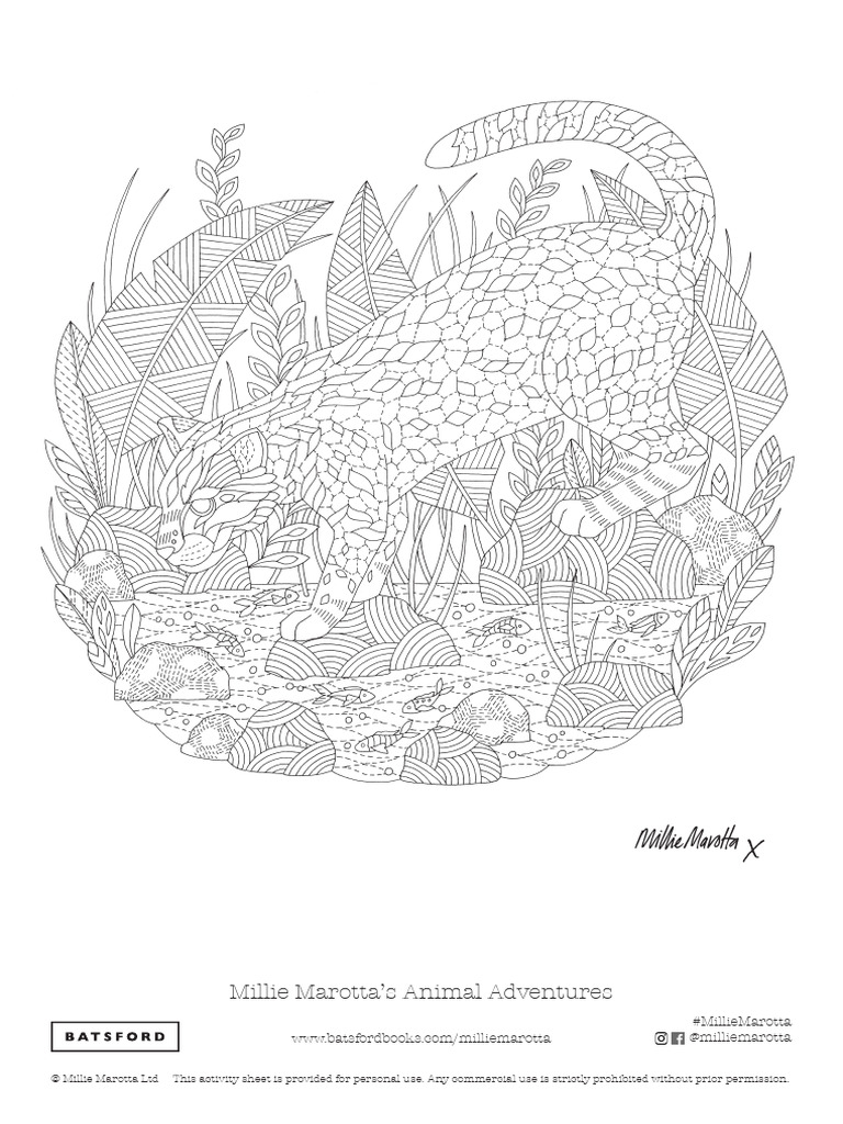 Animal Adventures Colouring Sheets 04 | PDF