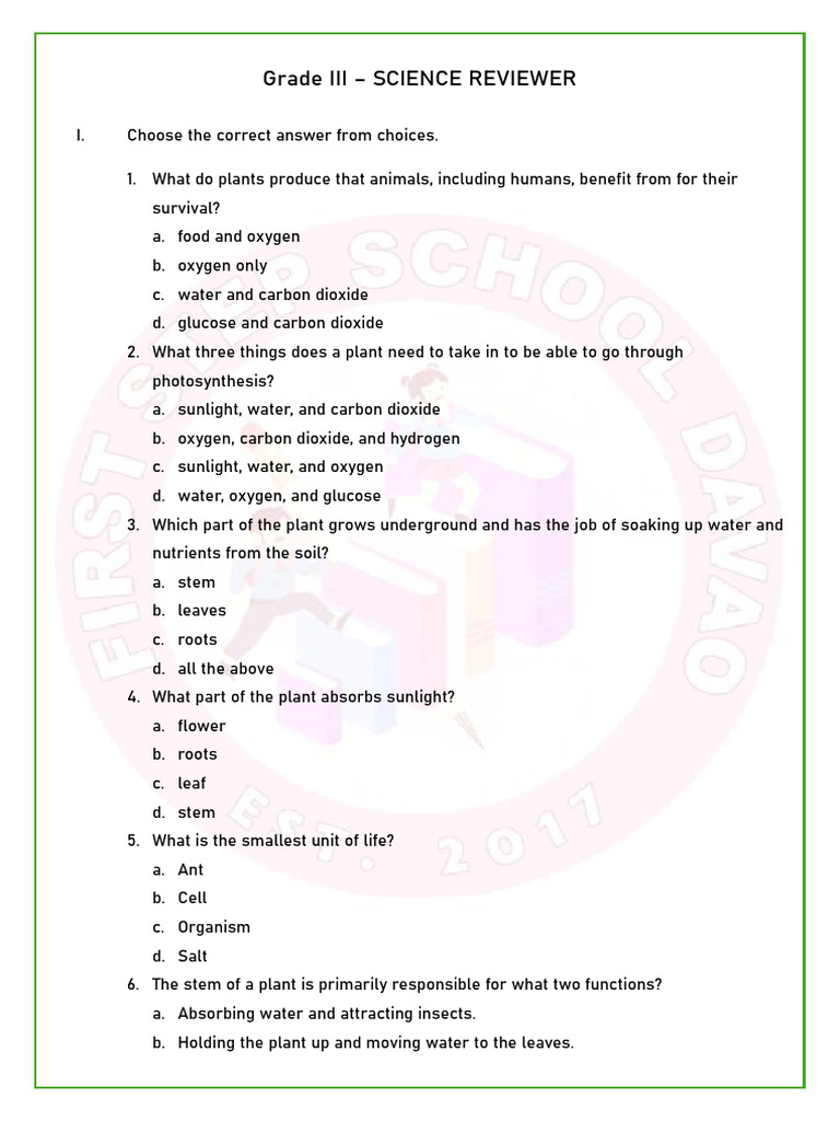 Grade III - Science Reviewer | PDF | Plants | Leaf