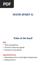 Palmar Hand Anatomy Overview | PDF | Hand | Musculoskeletal System