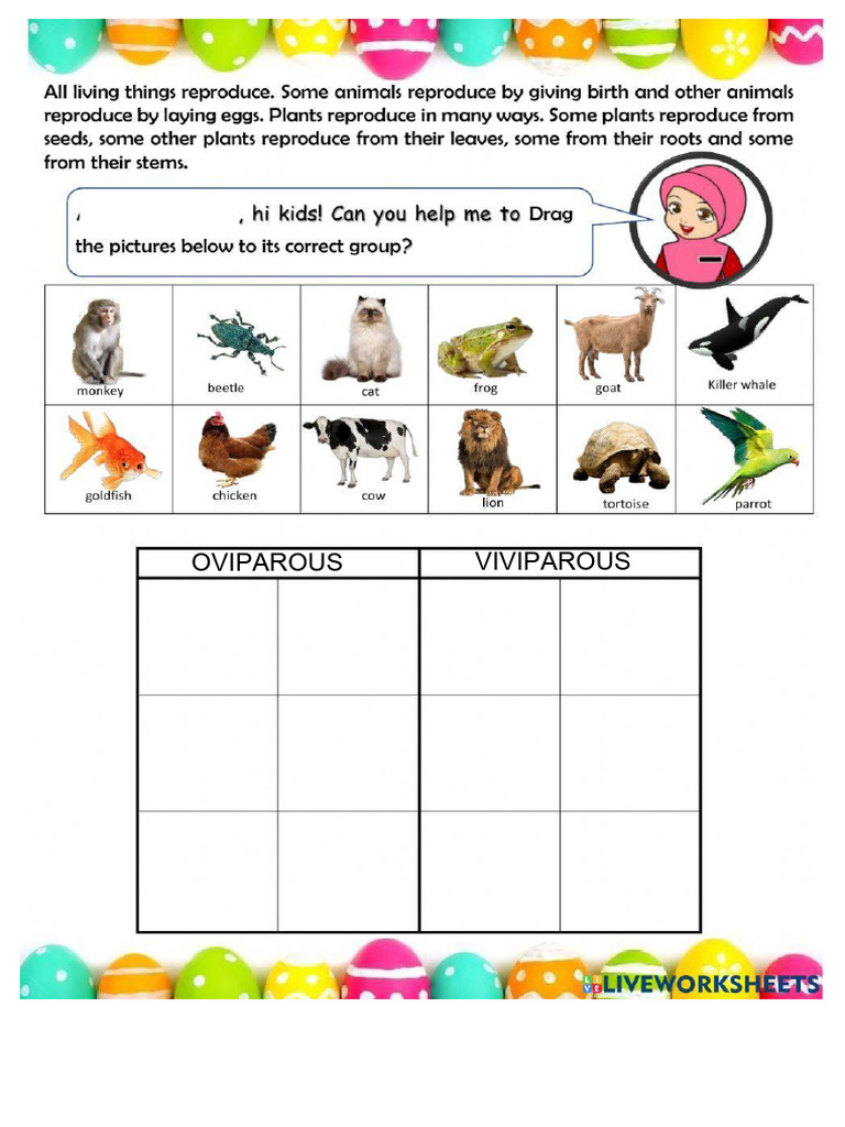 Worksheet 1829132 | PDF