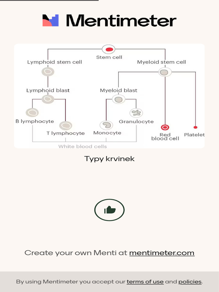 2AJ BOR Pojiva, Svaly - Mentimeter | PDF