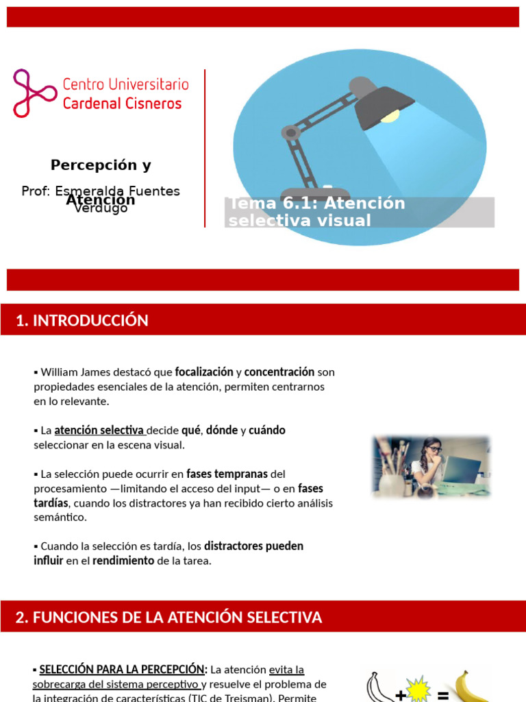 Tema 6.1. P. Percepción y Atención_ Tipos de Atencion_At. Selectiva Visual y Auditiva | PDF ...
