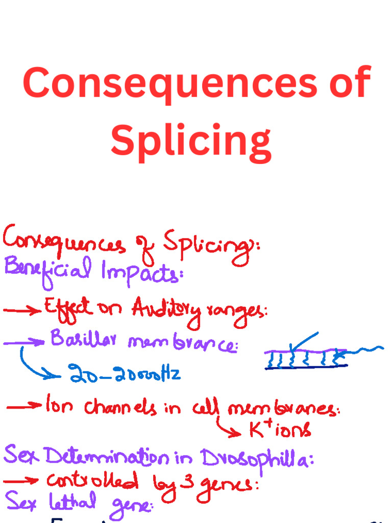 Consequences of Splicing | PDF