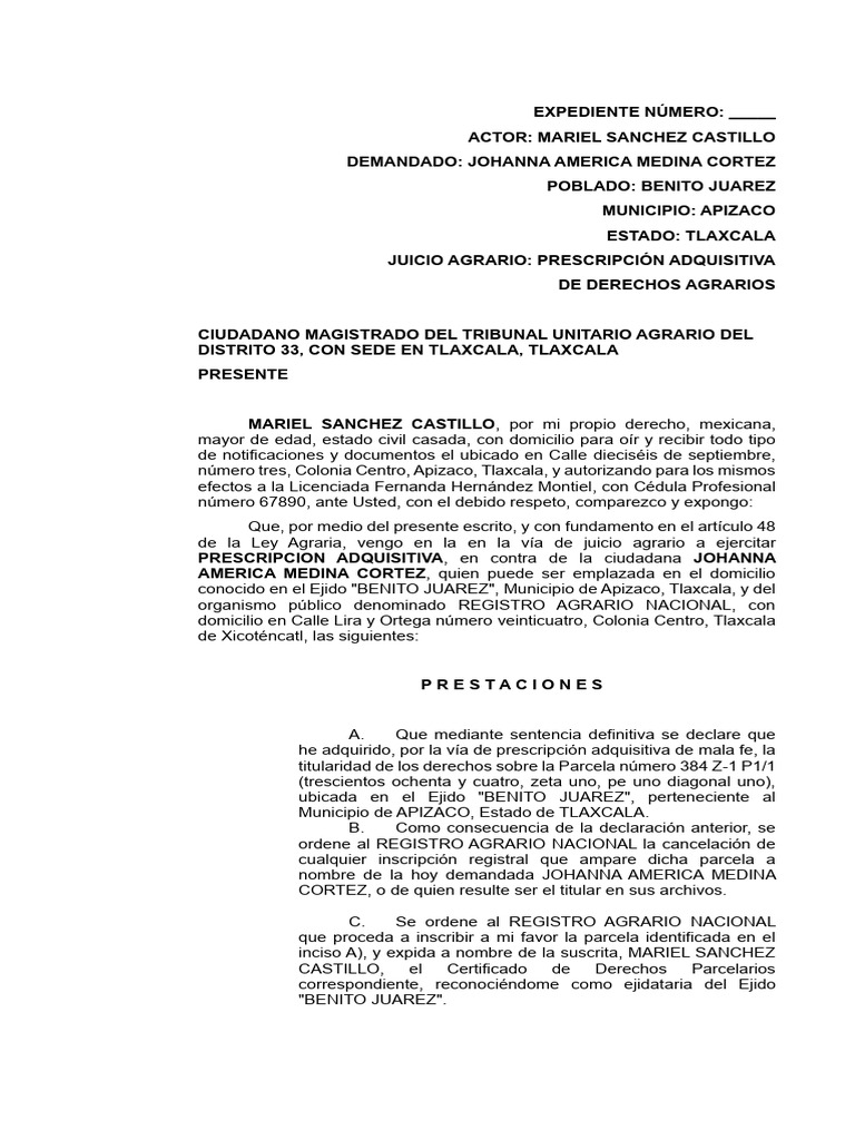 PRESCRIPCION ADQUISITIVA | PDF | Testigo experto | Demanda judicial