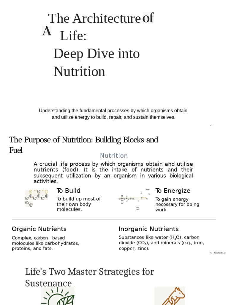 Nutrition the Architecture of Life | PDF | Digestion | Nutrition