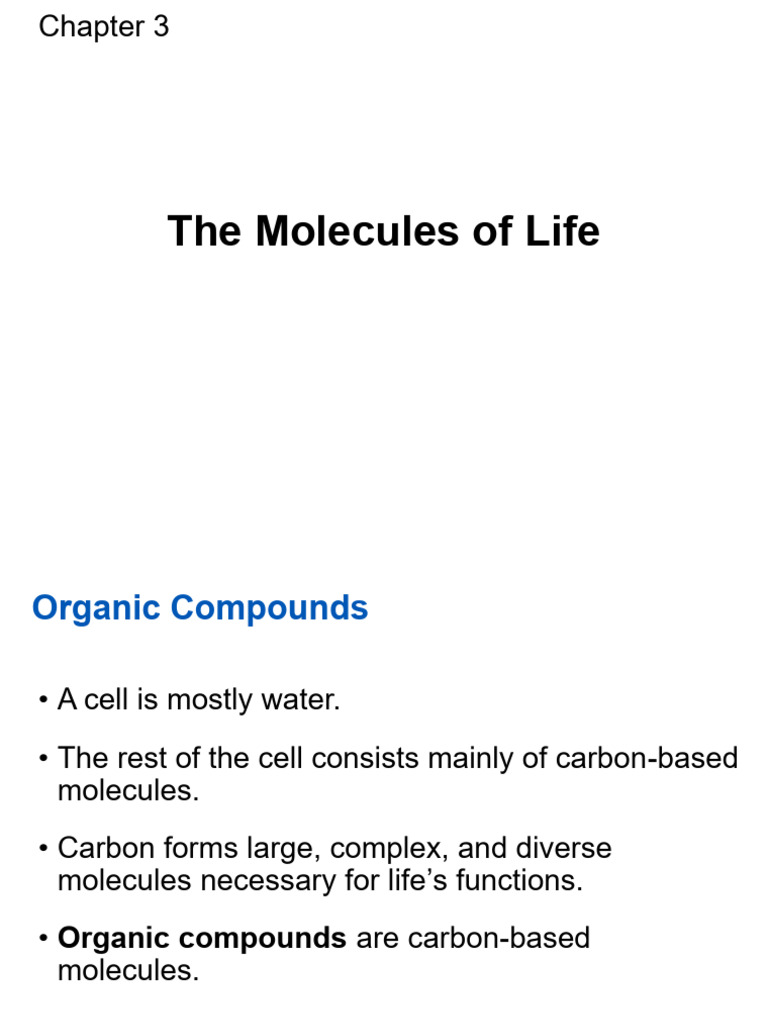 Chapter 3 The Molecules of Life Updated | PDF | Carbohydrates | Nucleic ...