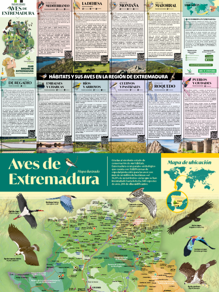 Aves de Extremadura | PDF | Aves | Aves holarctic