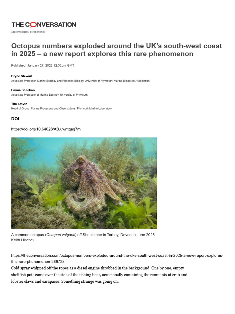 Octopus Numbers Exploded Around The UK's South-West Coast in 2025 - A ...
