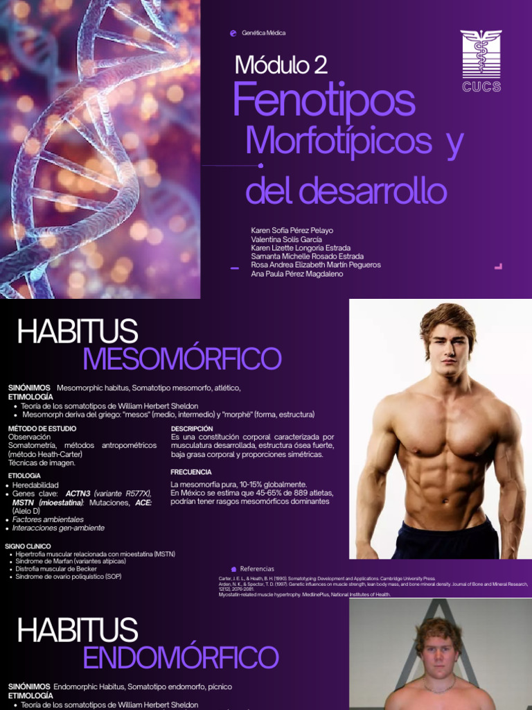 Fenotipos módulo 2 | PDF | Obesidad | Índice de masa corporal