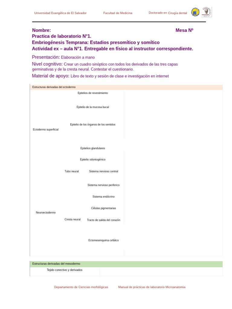 Entregable 1 | PDF | Embrión | Epitelio
