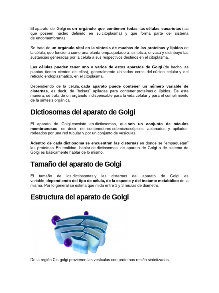 Aparato de Golgi | PDF | Citoplasma | Biotecnología