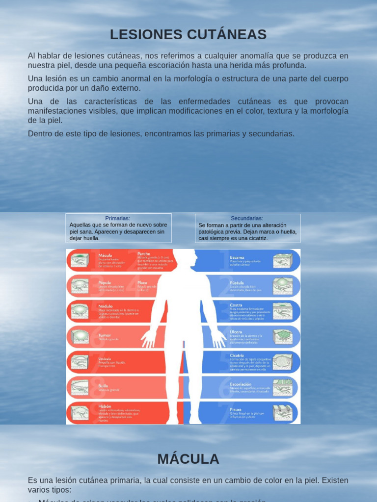 Lesiones Cutáneas 2 | PDF | Piel | Epidermis