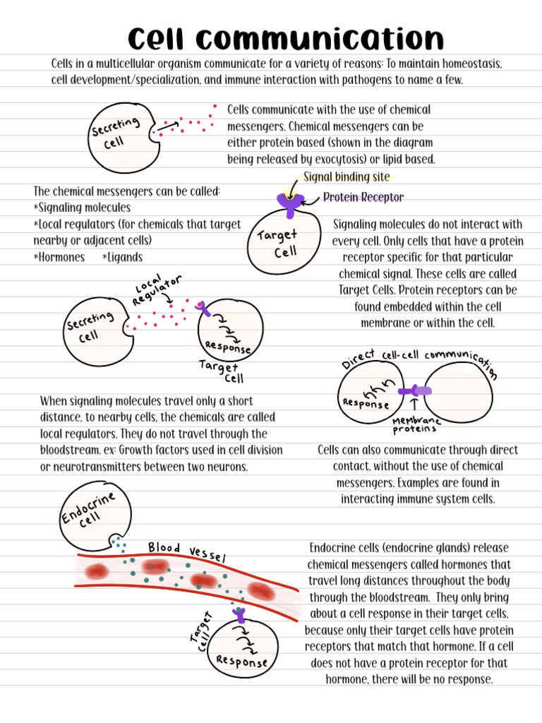 Cell Communication | PDF | Cell Signaling | Signal Transduction