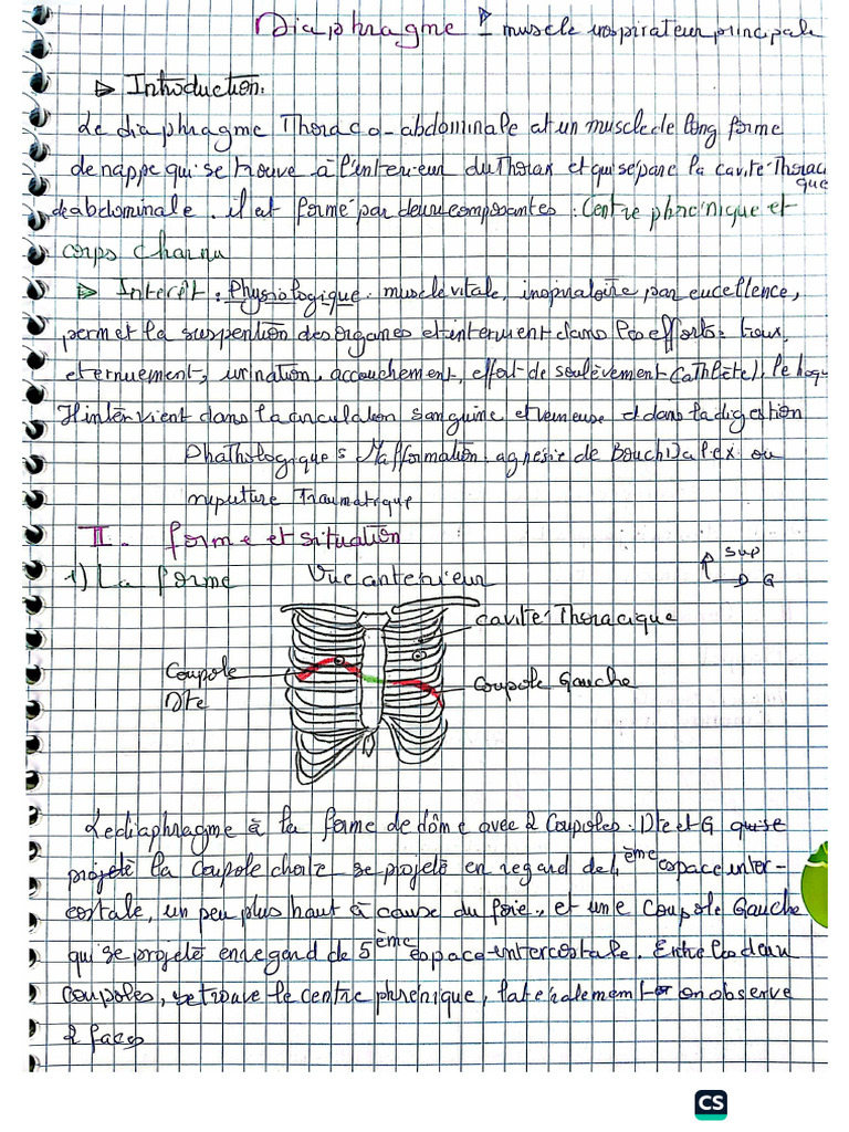 Cours Diaphragme 2026 | PDF
