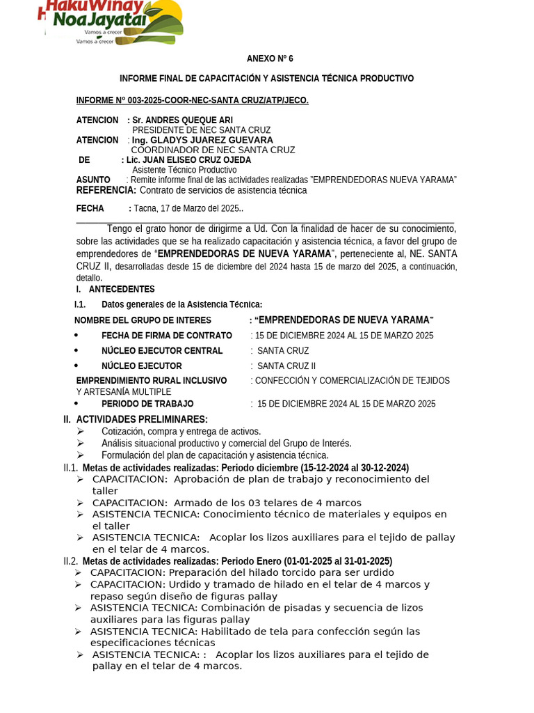 Anexo Nº 6.Informe Final de Yarama 2025 | PDF | Textiles | Telar
