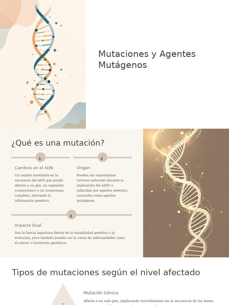 Mutaciones y Agentes Mutagenos Tipos y Ejemplos Visuales | PDF ...