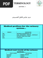 Urology Medical Terminology Guide | PDF | Urinary System | Kidney
