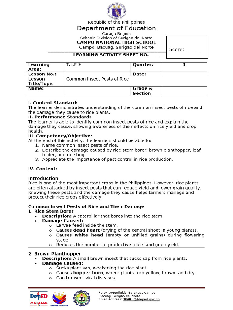 T.L.E LAS 03-12-2025 -grade 9 Common Insect Pests of Rice | PDF | Rice | Pest (Organism)