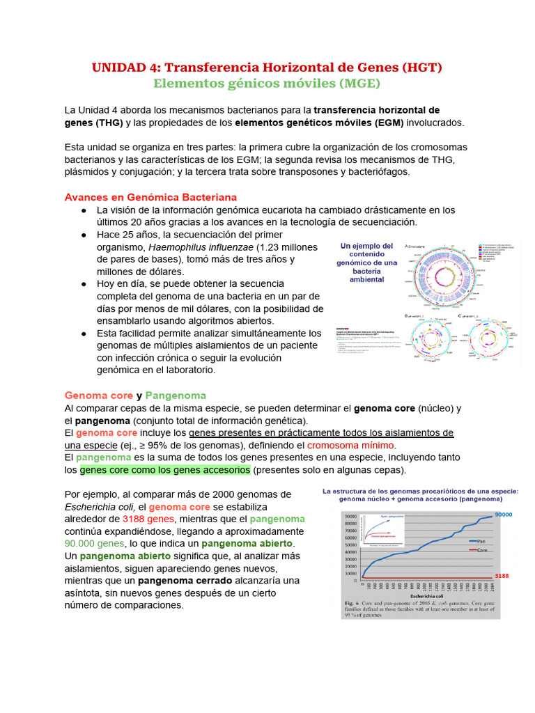 UNIDAD 4 - Transferencia Horizontal de Genes (HGT) | PDF | Plásmido | Adn