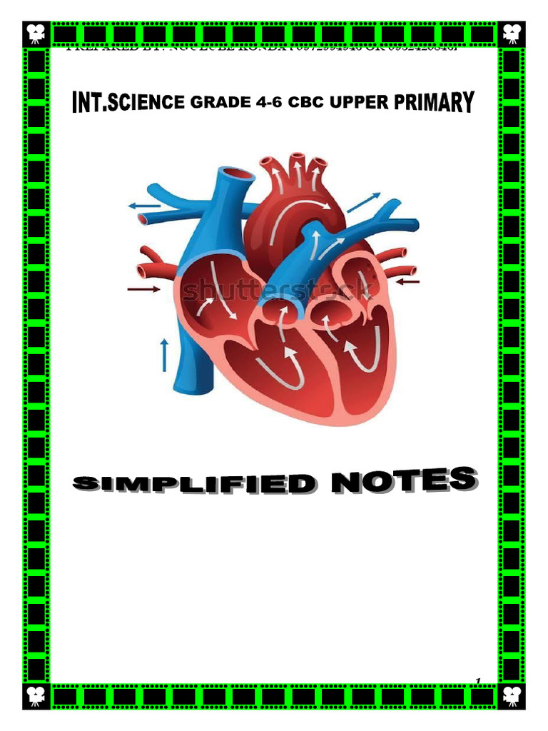Grade 4-6 Cbc Int.science Pamphlet | PDF | Vein | Artery