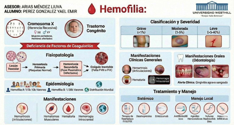 Infografia Hemolia Imagenes Reales | PDF