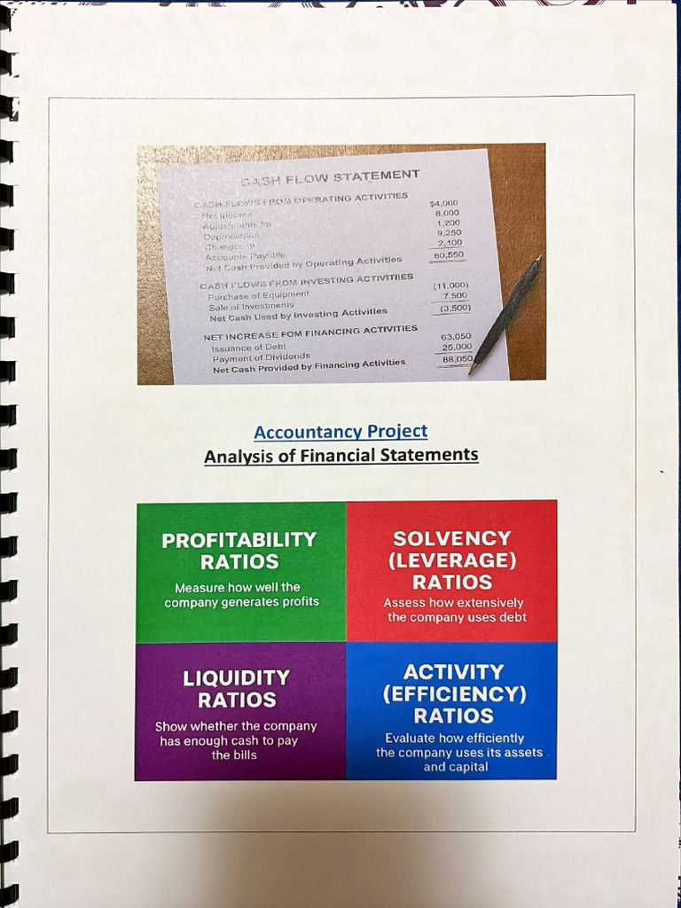Accounts Project With Changes | PDF