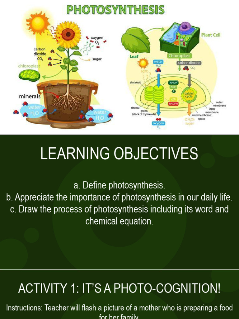 Introduction To Photosynthesis | PDF | Chloroplast | Carotenoid