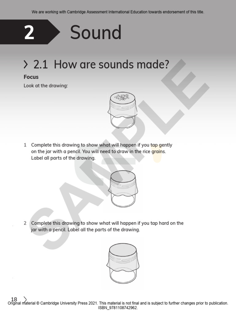 G5 Science Sound Worksheets | PDF | String Instruments | Recorder ...