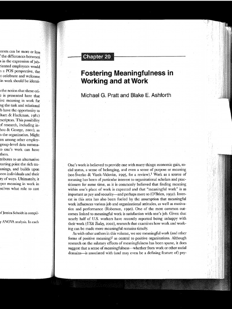 Pratt Ashforth 2003 Meaning Chapter | PDF