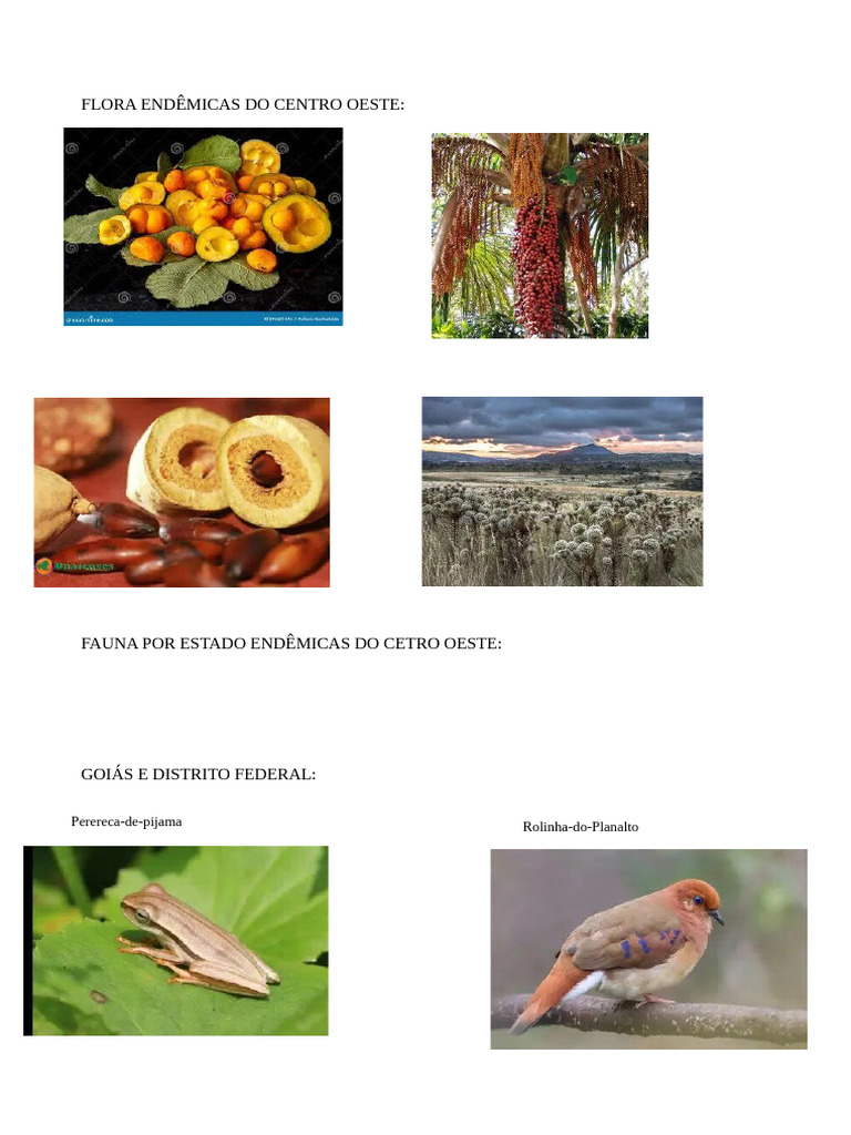 REGIÃO CENTRO-OESTE DO BRASIL | PDF